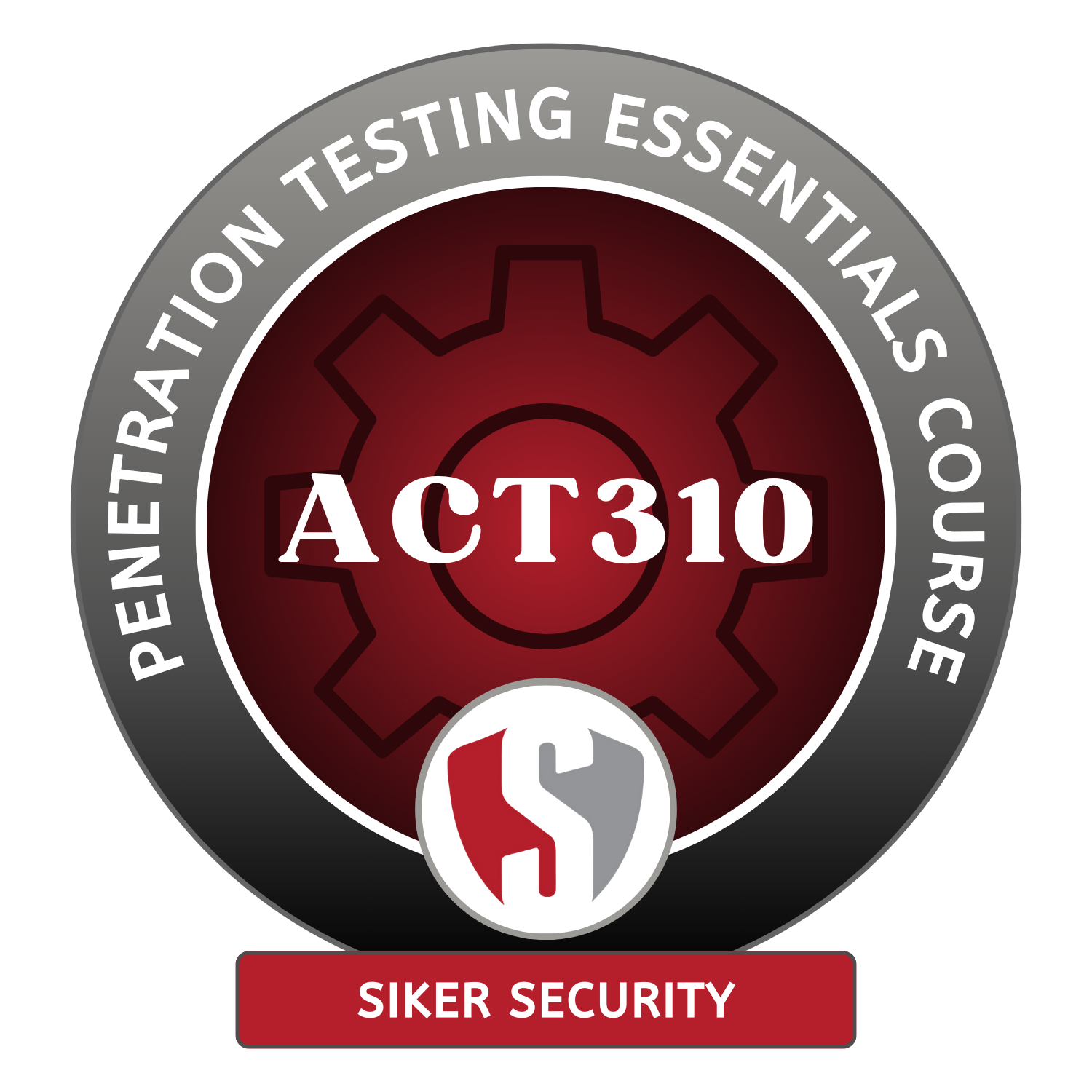 Penetration Testing Essentials Osp Cyber Academy